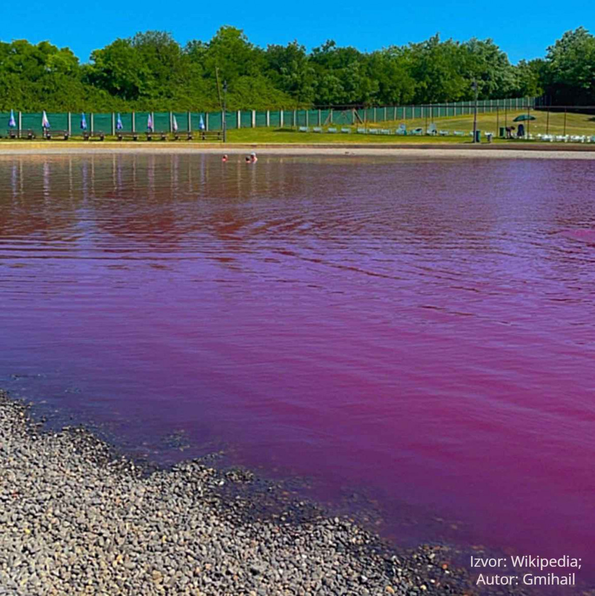 Pacir Banja - Visit the Unique Pink Lake in Serbia
