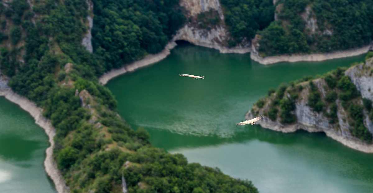 Serbian Rivers - 5 Most Beautiful Rivers in Serbia