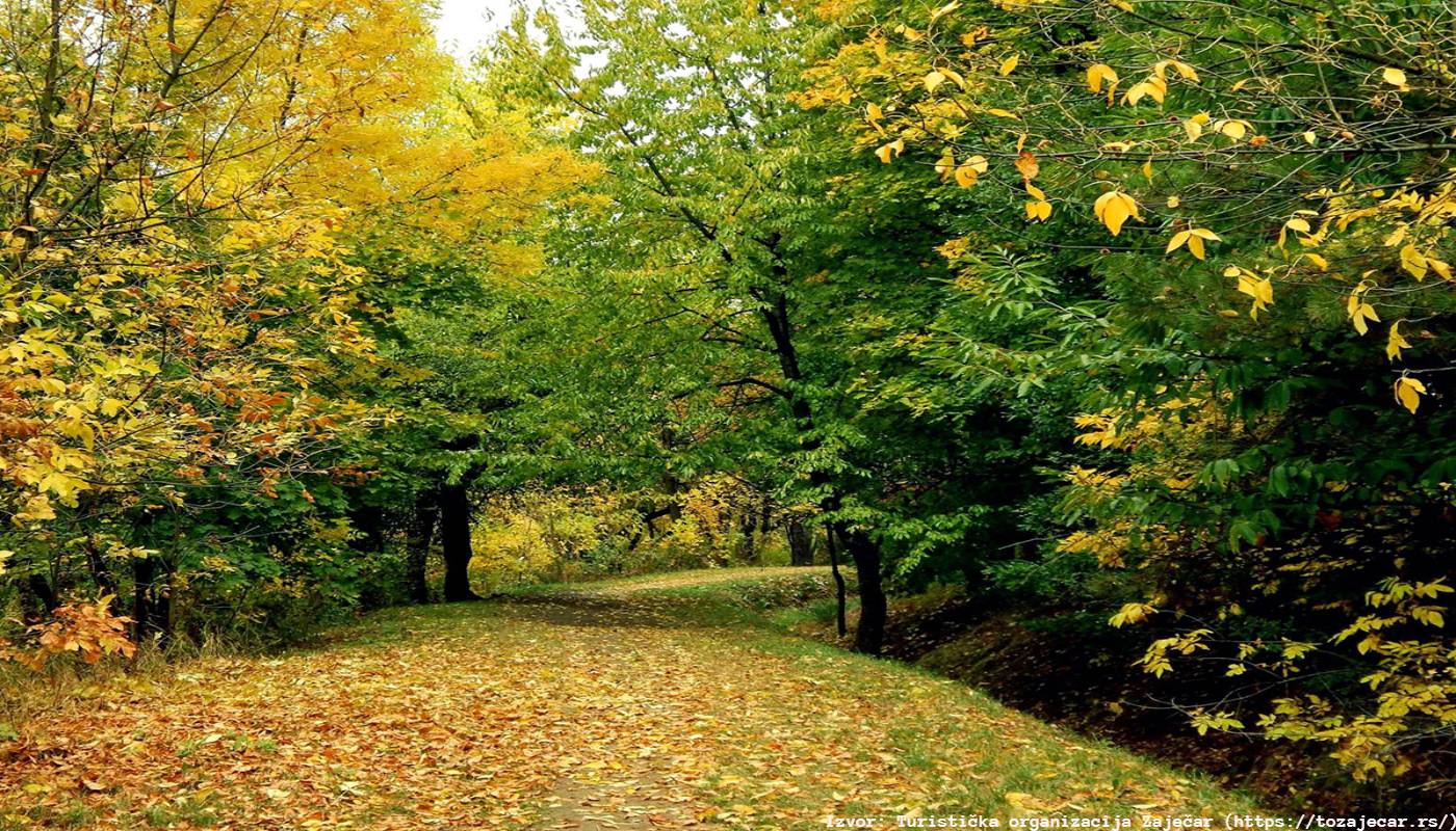 Kraljevica Forest Park - Popular Outing in Zajecar