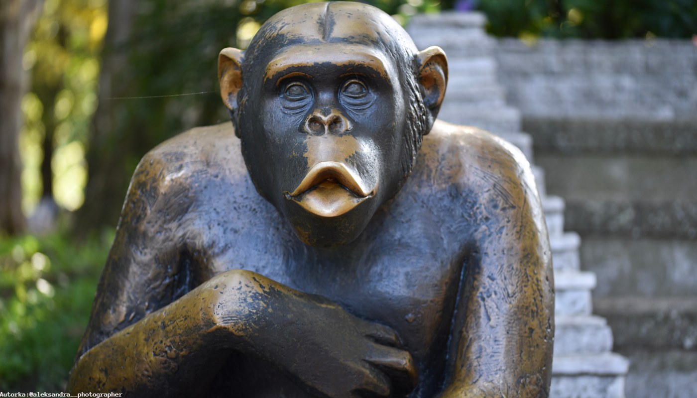 Beogradski zoološki vrt - Prirodna atrakcija u Kalemegdanu, Beograd