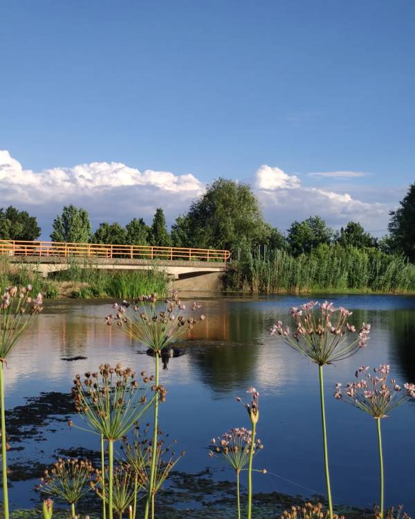 Backa Topola - All Informations for Turist